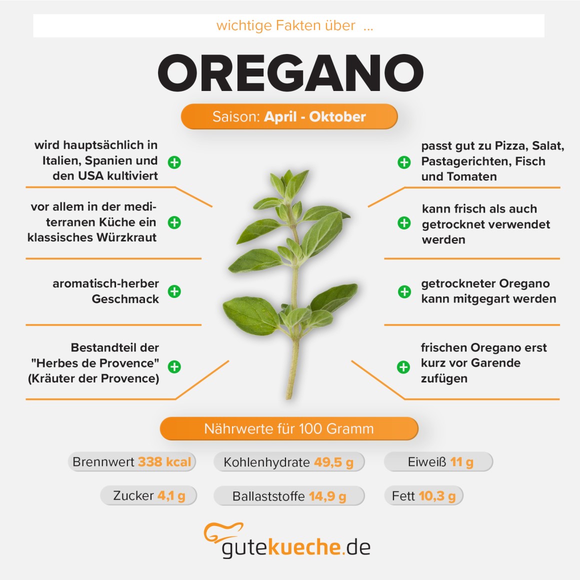 Oregano